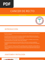 Anatomia de Mesorecto | PDF | Cáncer colonrectal | Cirugía