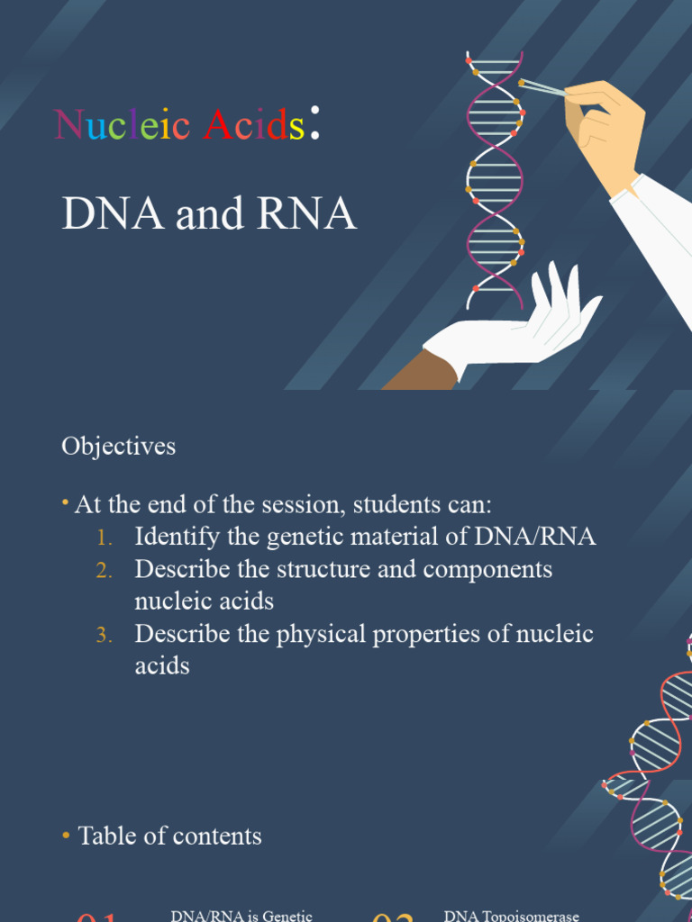 Nucleic Acids - DNA and RNA | PDF | Rna | Dna