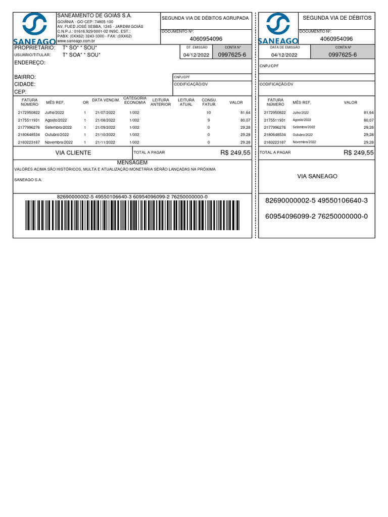 Conta Saneago | PDF | Brasil