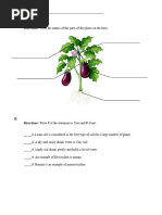 Grade 3 Sci WS 1 Living Non Living Things | PDF | Zoology
