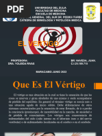 Protocolo Hints | PDF | Neuroimagen | Vértigo