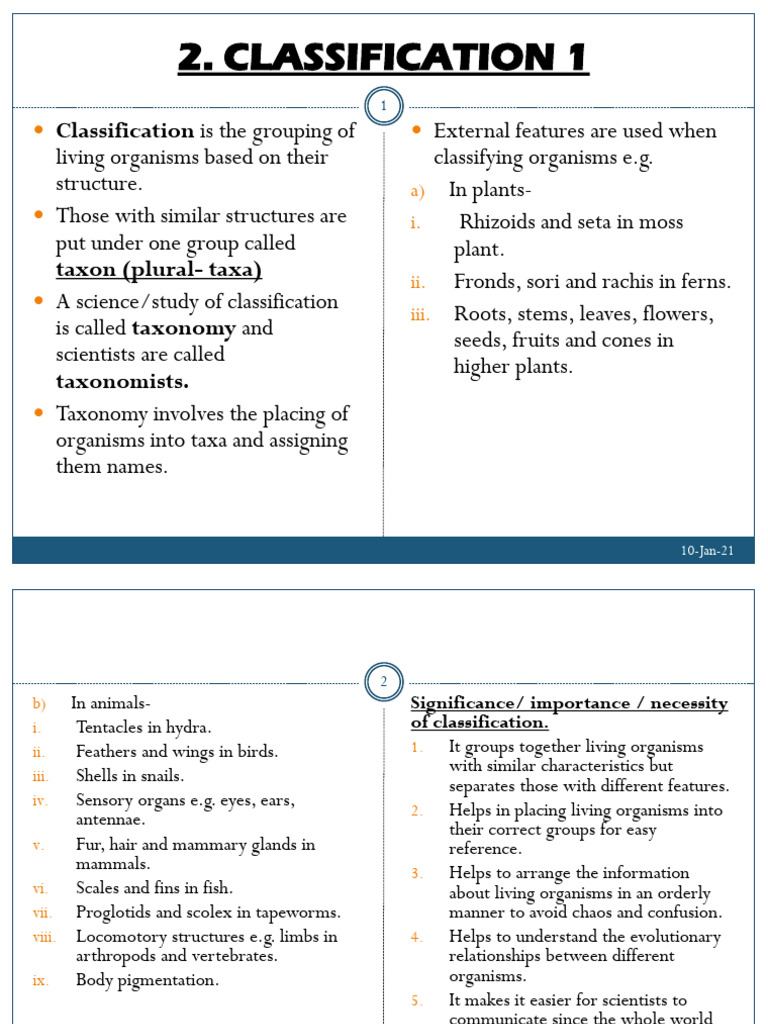 Classification 1 | PDF | Taxonomy (Biology) | Genus
