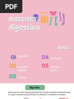 Sistema Digestivo | PDF | Sistema digestivo humano | Bilis