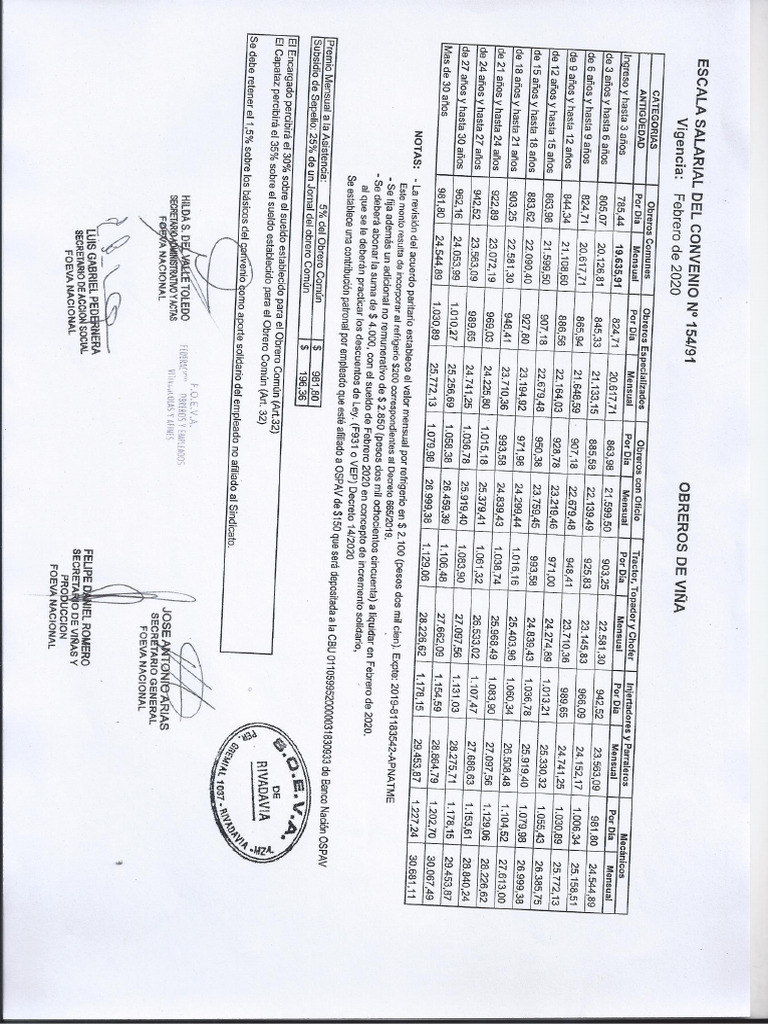 Febre Ro 2020 Vina New | PDF