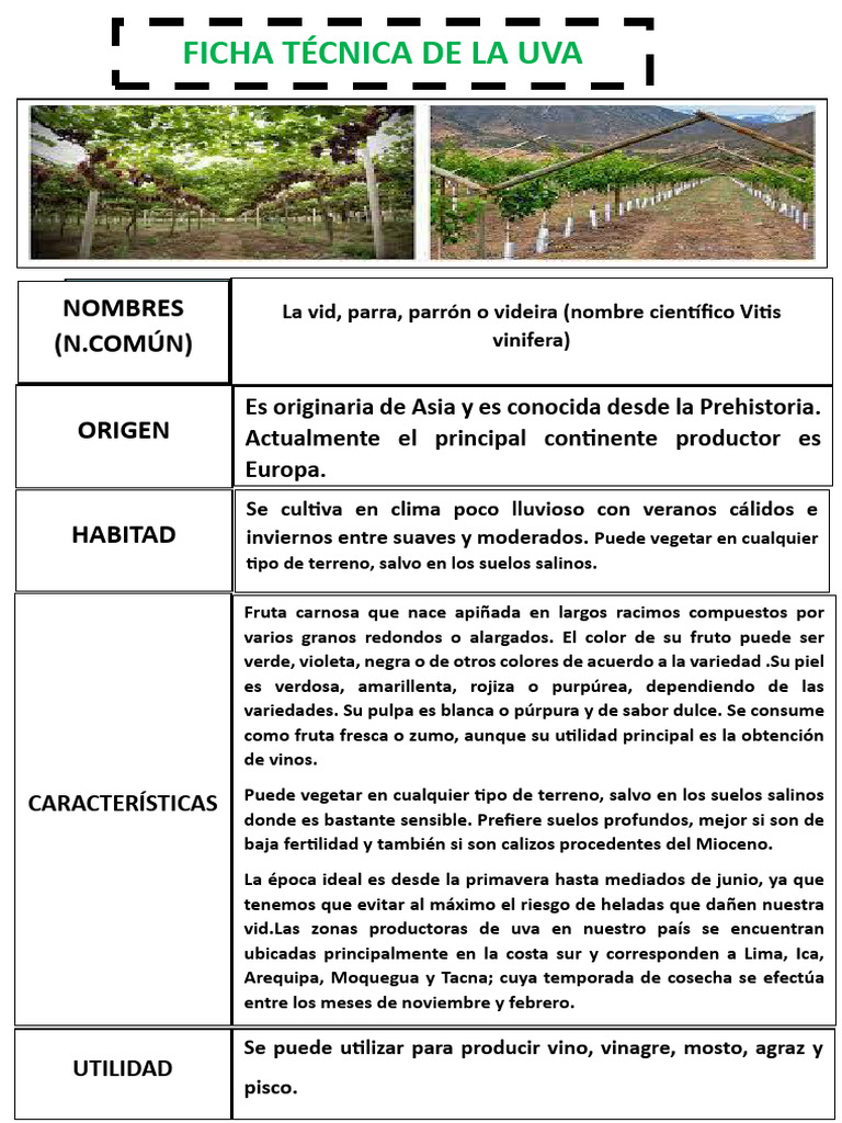 Ficha Tecnica de La Uva | PDF | Hogar, jardinería y bricolaje