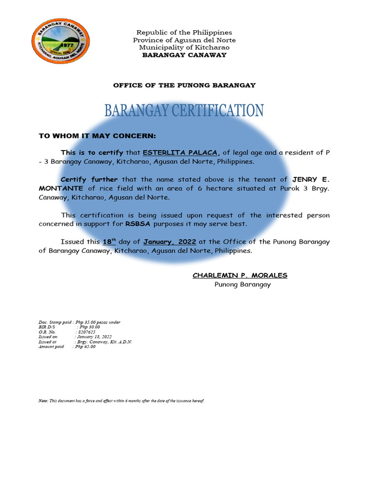 Cert RSBSA | PDF | Economies | Economy Of Asia