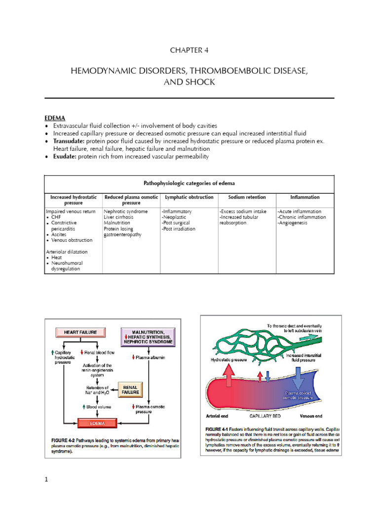 Chapter 4 - Hemodynamic Disorders, Thromboembolic Disease, and Shock | PDF