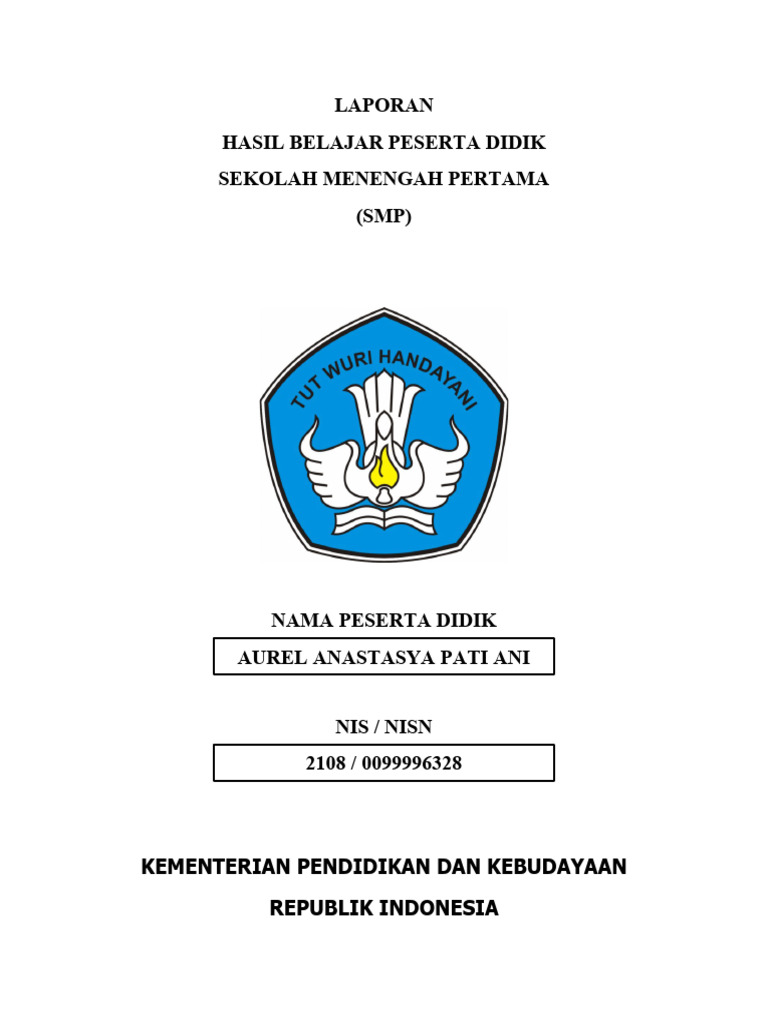 Cover Raport SMP | PDF