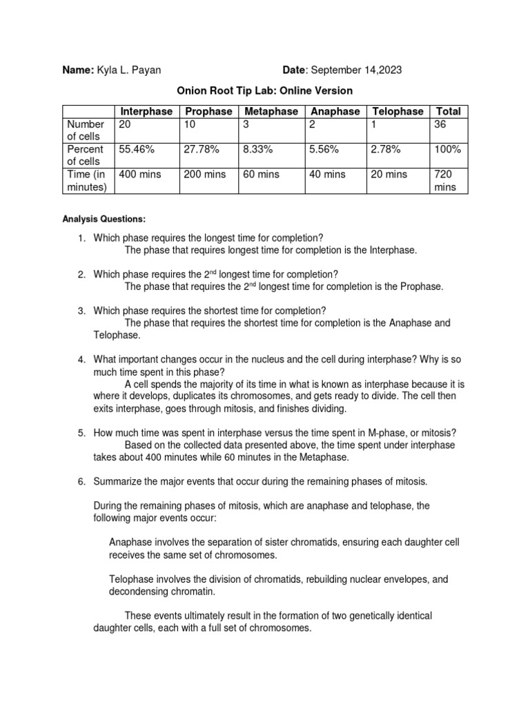 Onion Root Tip Lab | PDF