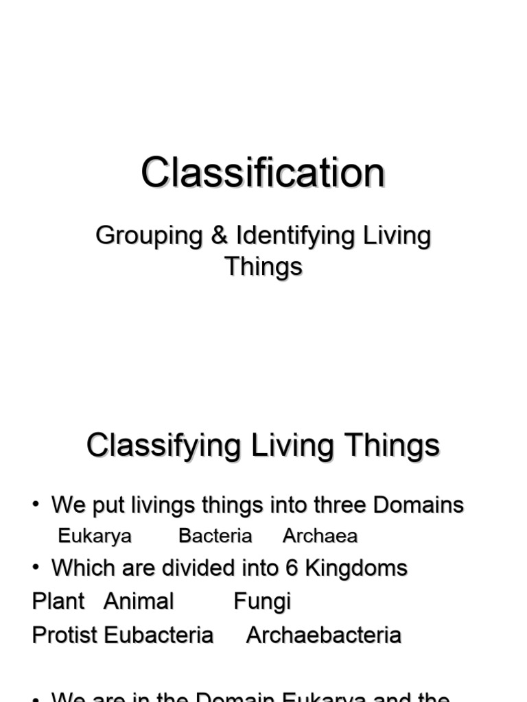 Animal Kingdom Classification Overview | PDF | Invertebrate | Egg