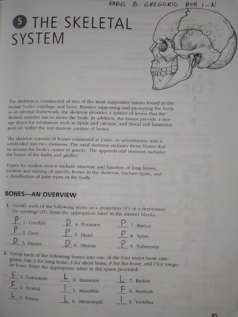 Workbook Chapter 5 | PDF