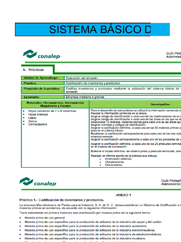 Práctica de Codificación 1 | PDF | Pantalones | Business