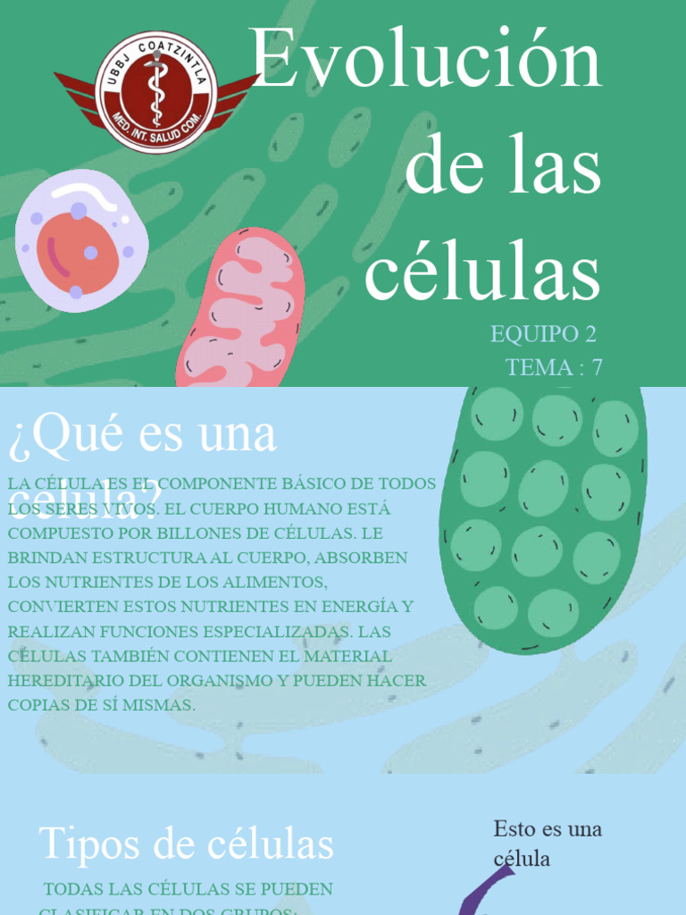 Evolución de Las Células | PDF | Biología Celular) | Eucariotas