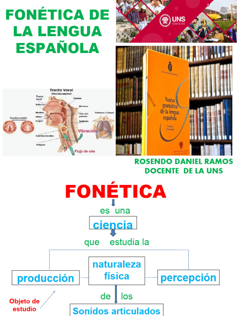Fonética de la Lengua Española: Estudio y Clasificación | PDF ...