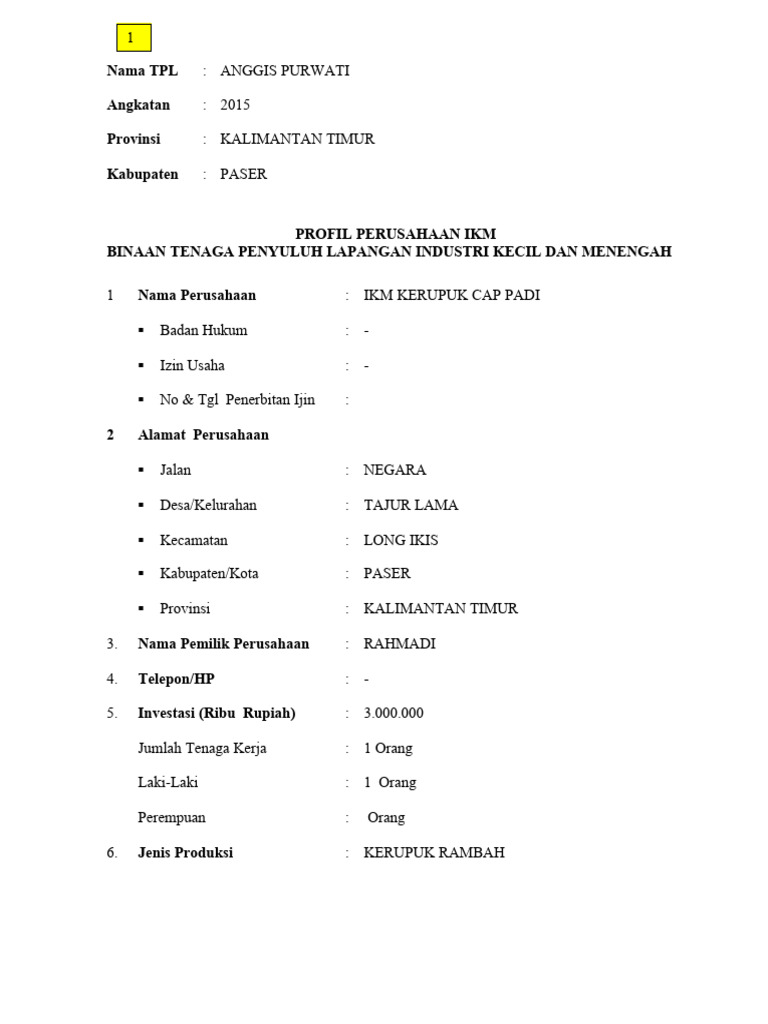 Kuesioner Profil Perusahaan TPL | PDF