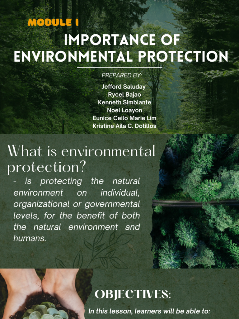 Importance of Environmental Protection | PDF | Deforestation | Natural ...