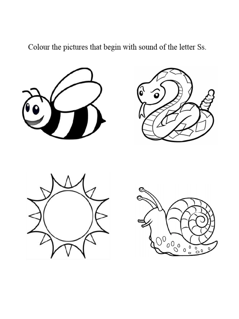 Colour The Picture That Start With Sound of The Letter Ss | PDF