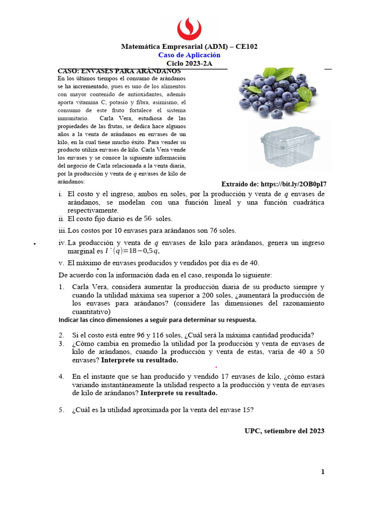 Caso 3a 2023 | PDF | Ciencias sociales