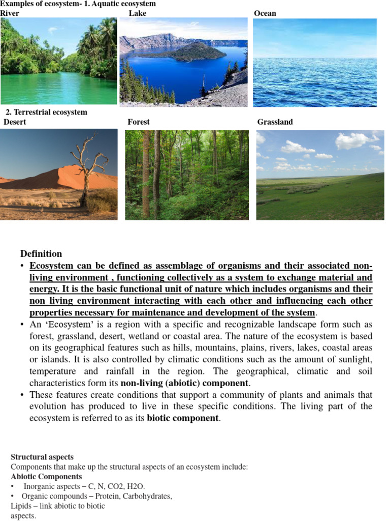 Unit2-1 EVS | PDF | Food Web | Grassland