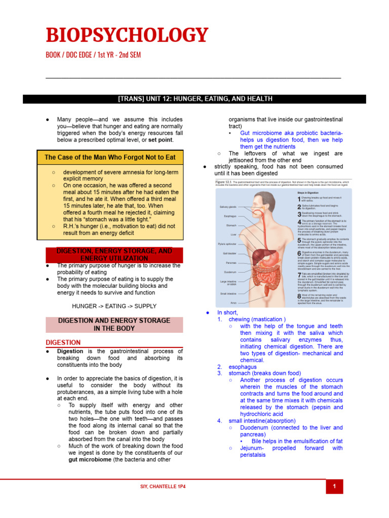 Biopsych Trans Chap 12 | PDF | Glycogen | Digestion