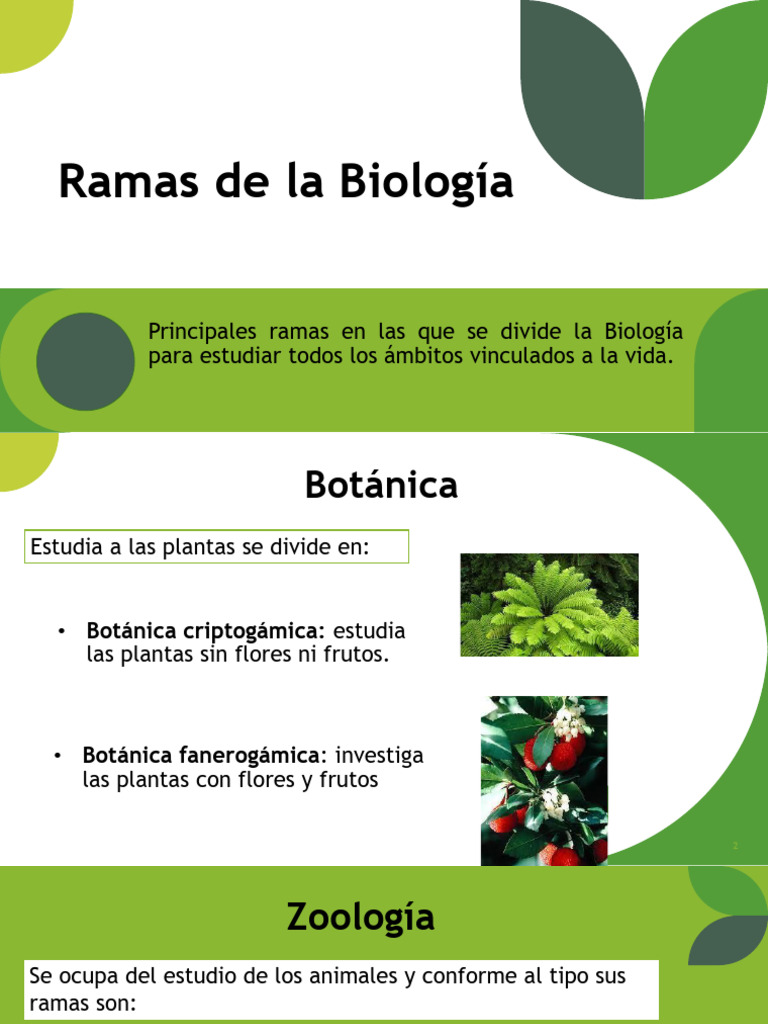 Ramas de La Biología | PDF | Biología | Botánica