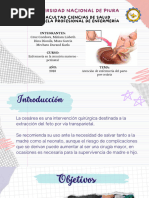 Pasos Quirúrgicos para La Cesárea Tipo Kerr | PDF | Abdomen | Seccion ...
