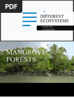 Dissolving Grade 8 Worksheet | PDF