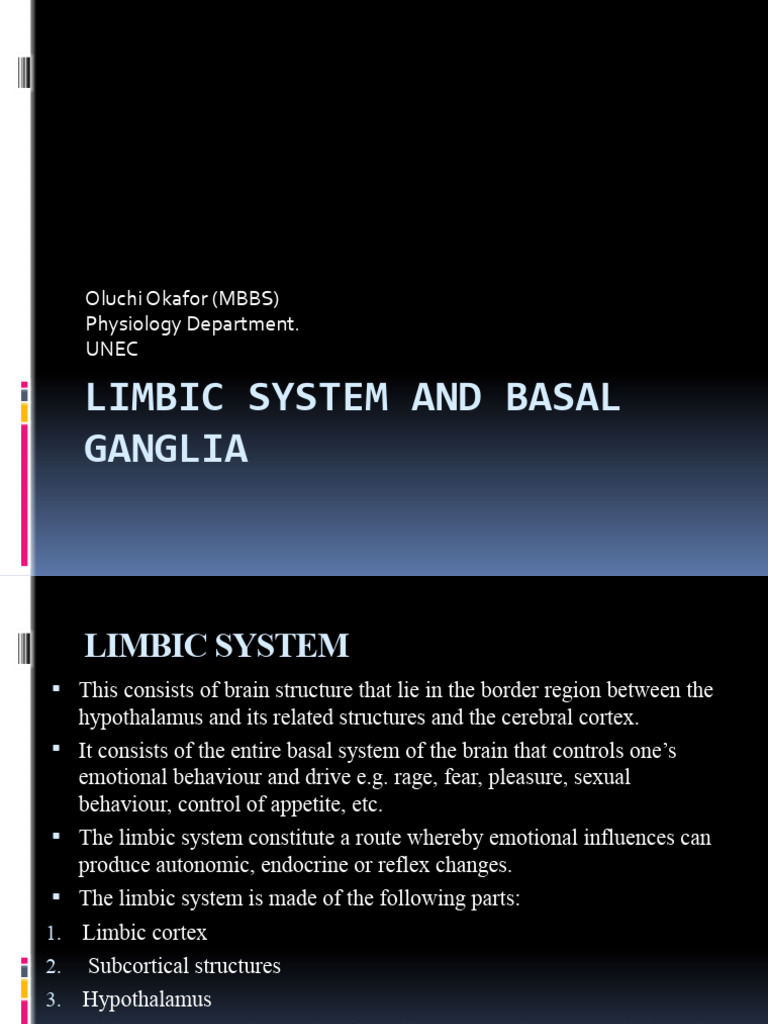 Limbic System and Basal Ganglia Overview | PDF | Basal Ganglia | Striatum
