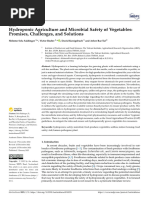 The Rozvi State | PDF