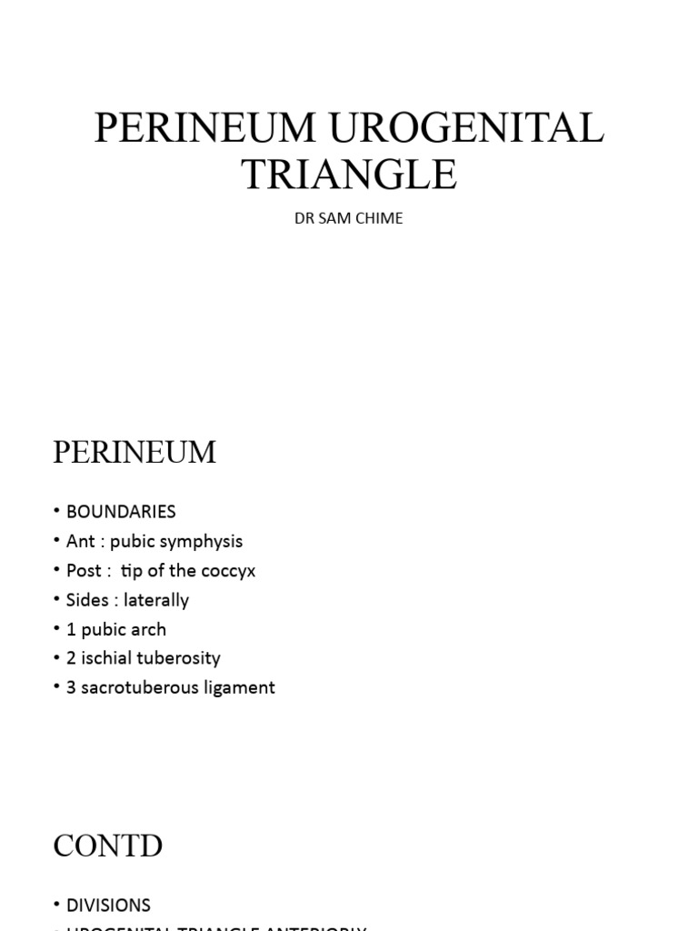 Perineum Urogenital Triangle | PDF | Pelvis | Human Anatomy