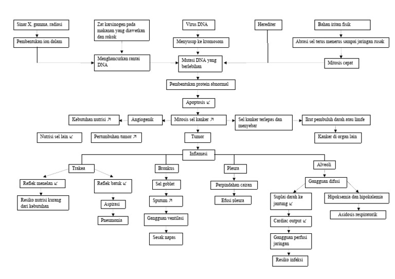 Pathway Cancer Paru | PDF