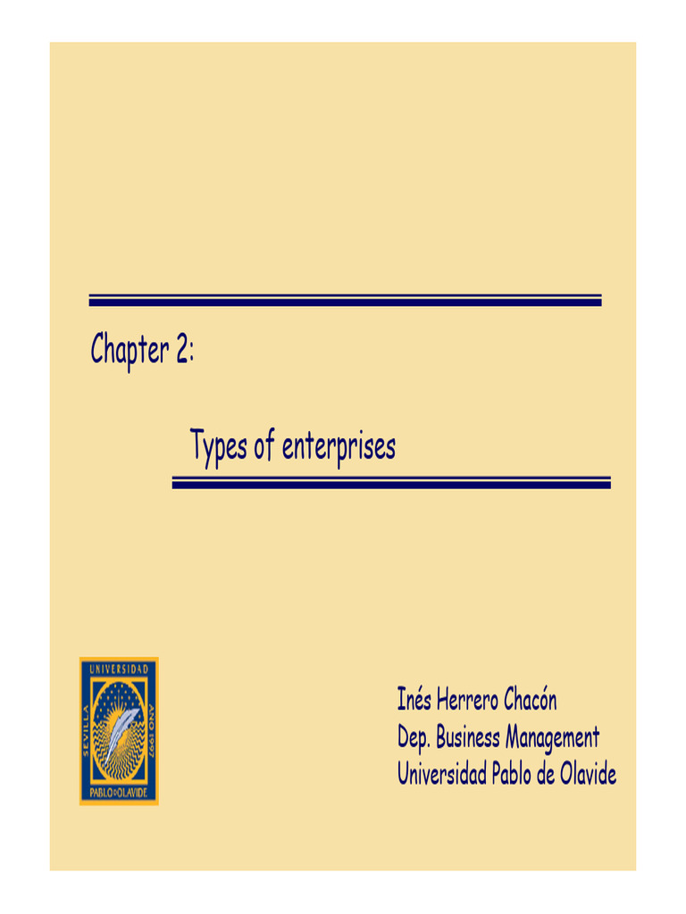 Types of Enterprises in Business Management | PDF | Small And Medium ...