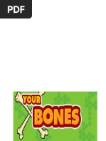 Skeletal System 206 Bones Comprehensive List | PDF | Skull ...