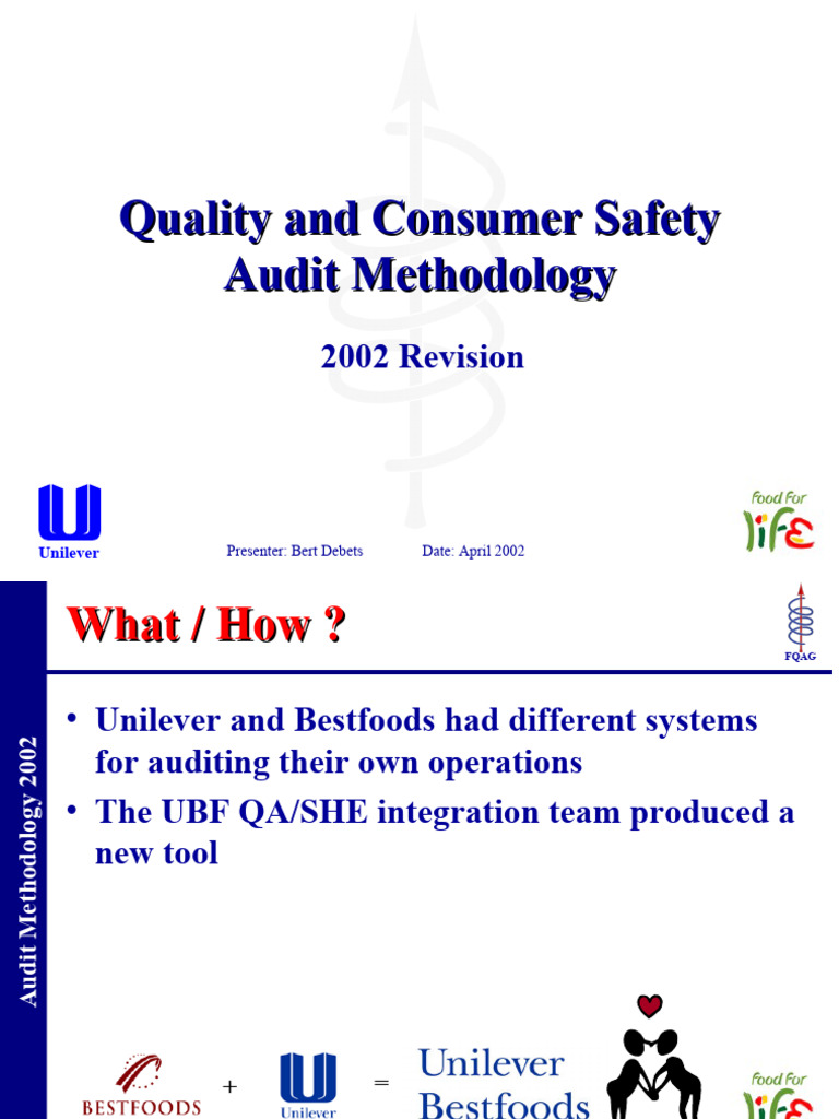 New QA CS Audit System | PDF | Audit | Risk