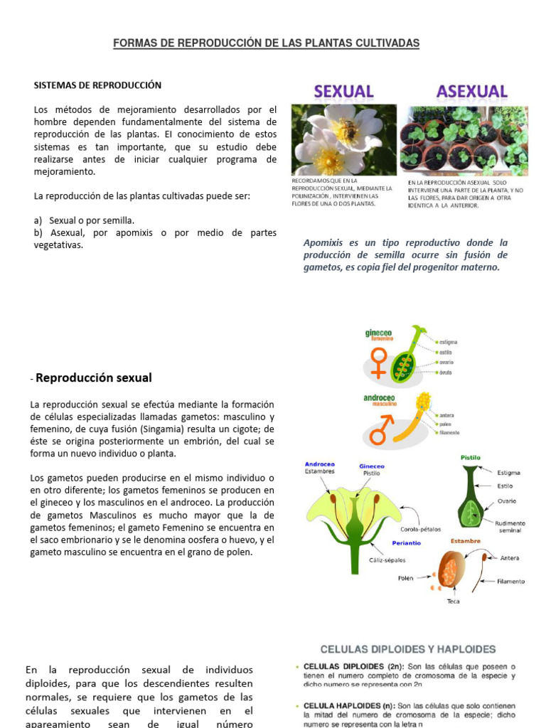 Clase 3 Reproducción Sexual y Asexual de Las Plantas Cultivadas | PDF ...