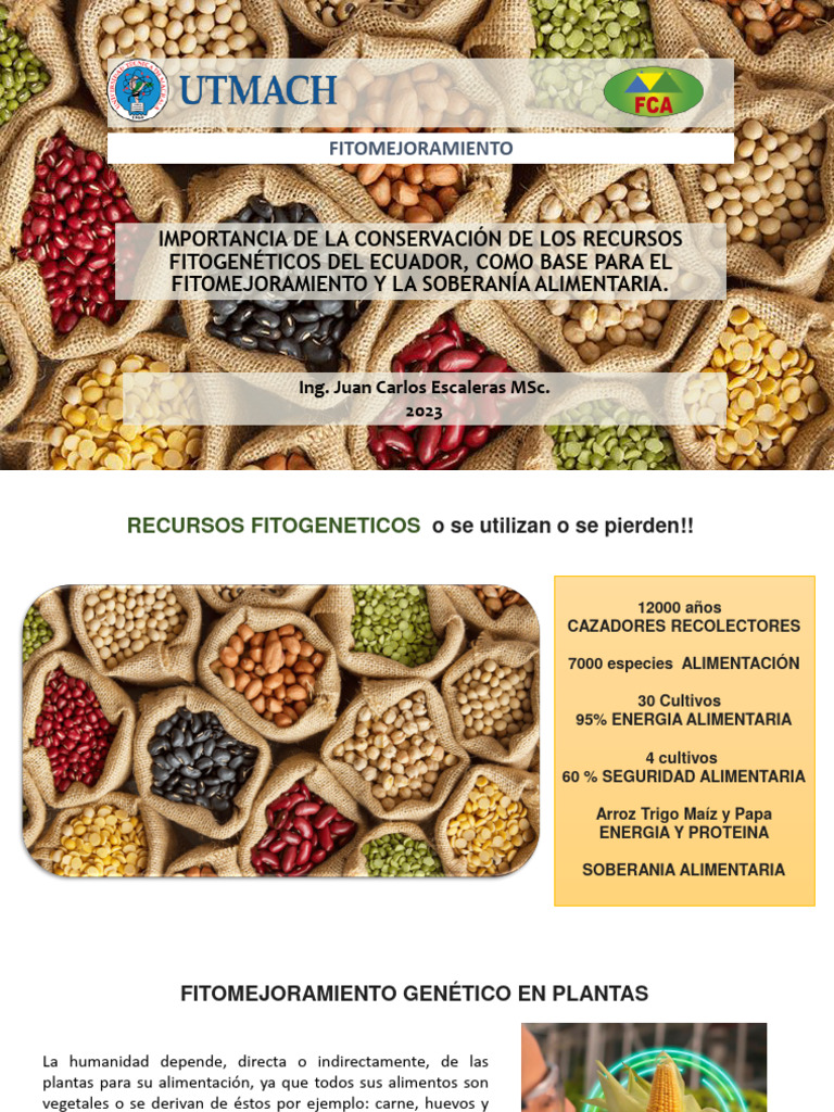 Clase 1 Fitomejoramiento Genético de Plantas | PDF | Tecnología e ingeniería