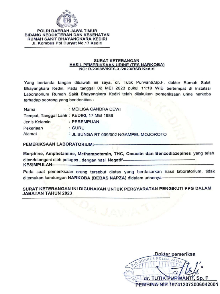 NAPZA PPG Compressed | PDF