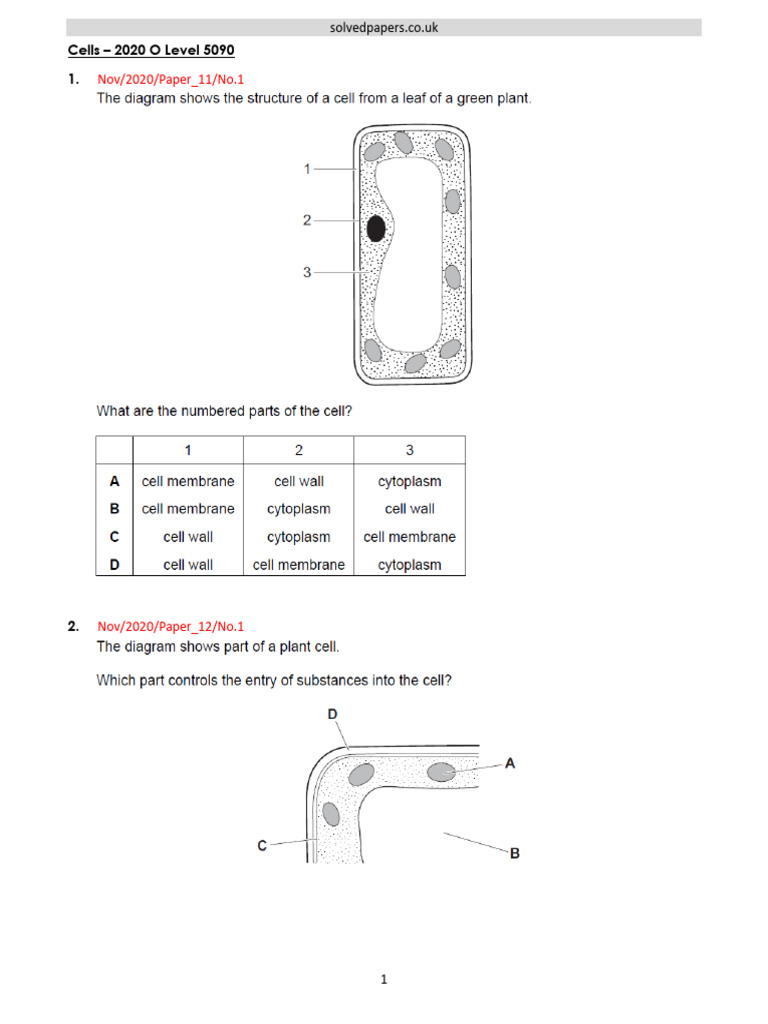 2020 Cells O Level 5090 | PDF