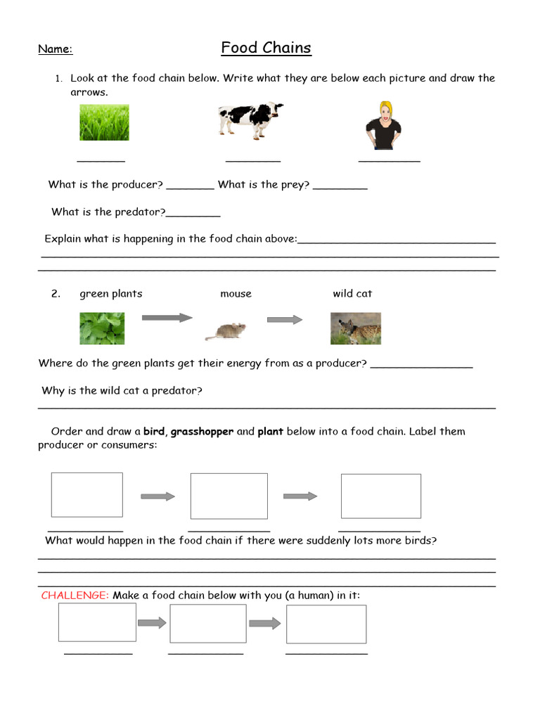 Food Chains LA Worksheet | PDF