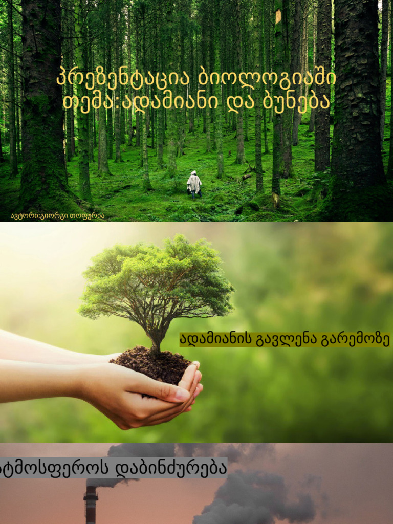 Microsoft PowerPoint Presentation | PDF