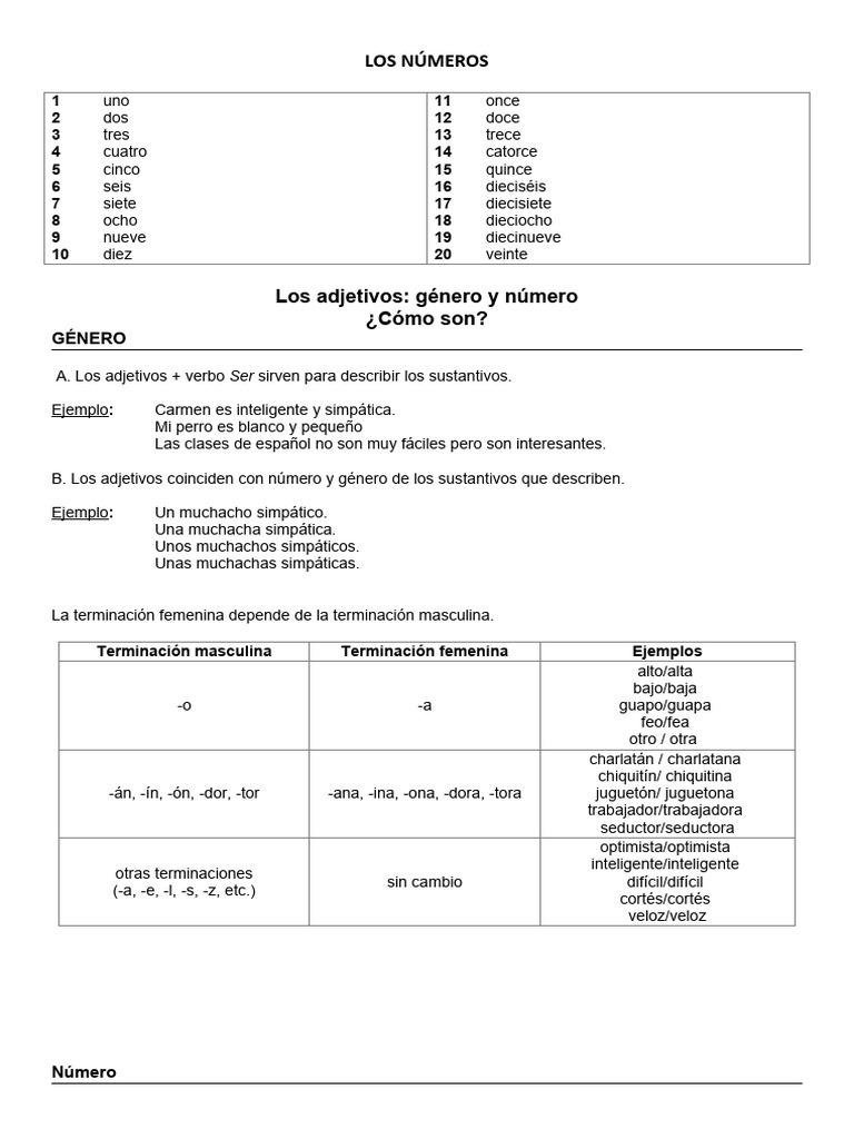 Tema 3a. Adjetivo. Género y Número | PDF | Adjetivo | Sustantivo