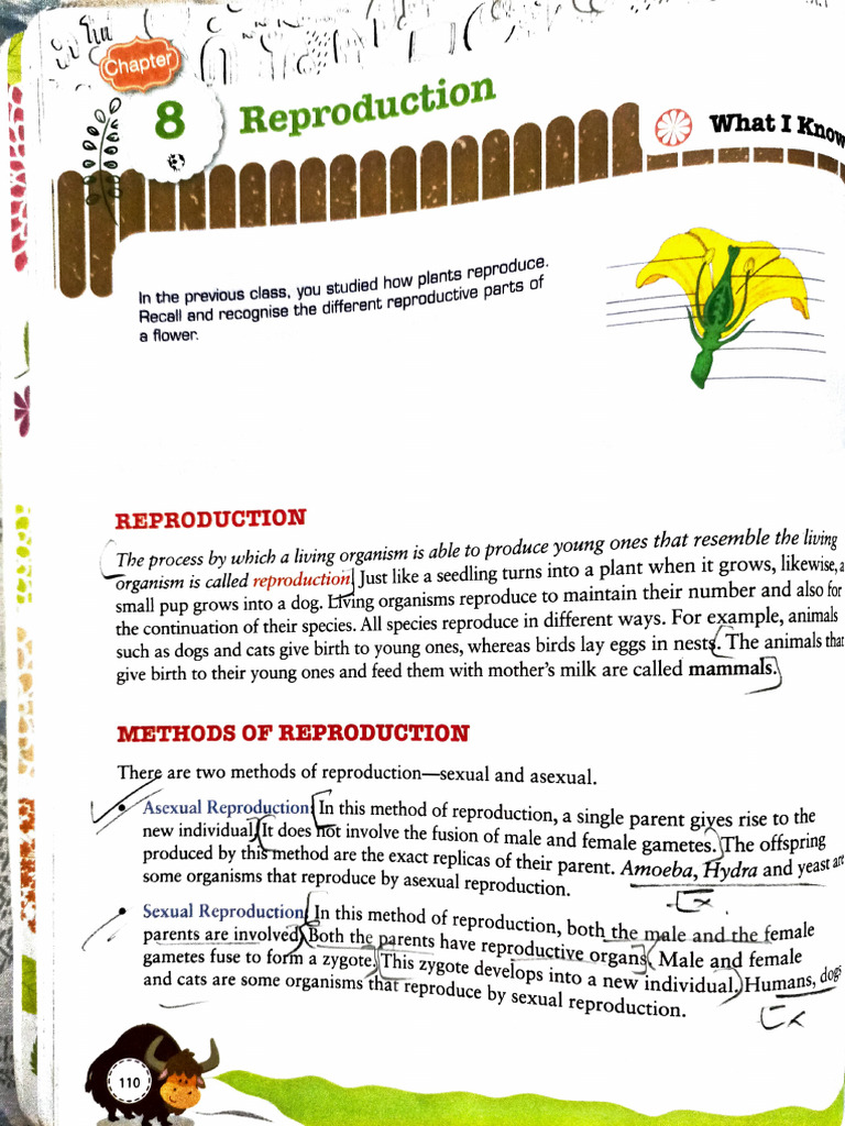 Reproduction | PDF | Reproductive System | Fertilisation