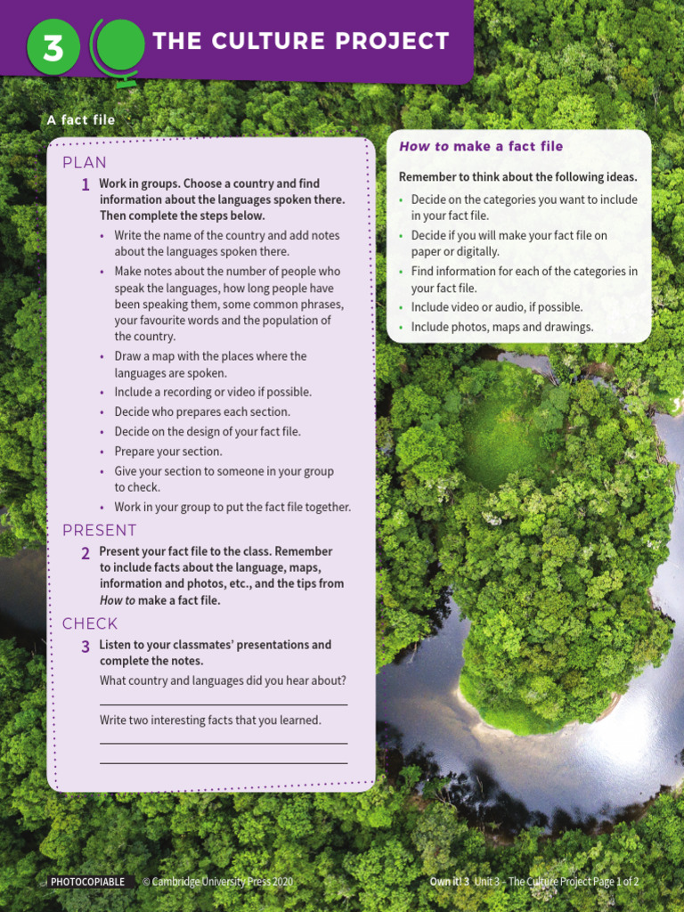 Creating a Fact File Guide | PDF | Communication | Human Communication