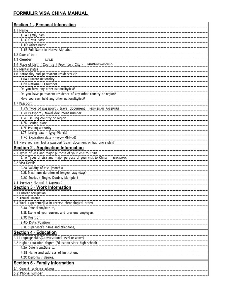Formulir Manual Visa China | PDF | Travel Visa | Passport