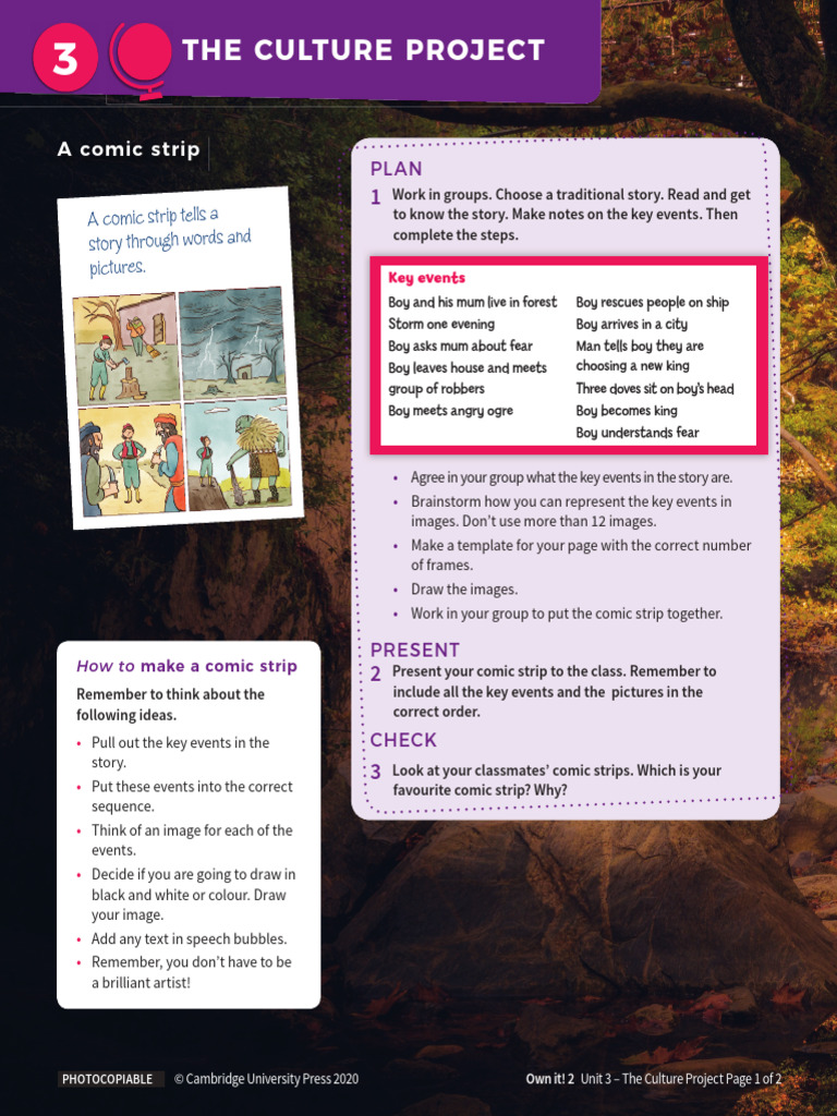 OWN IT 2 - Culture - Project - Unit3 | PDF | Comic Strips