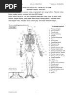 Anatomi Rangka Aksial Dan Apendikular | PDF