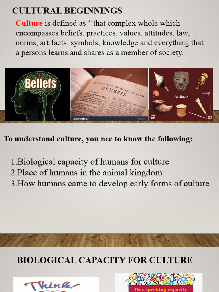 Module 2 Human Evolution and Culture | PDF | Stone Age | Paleolithic