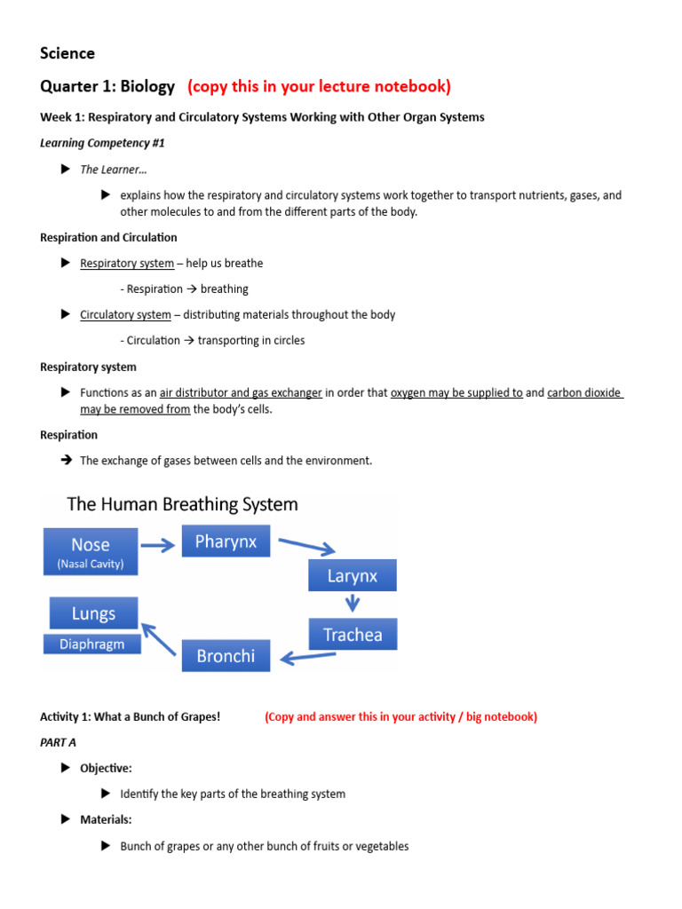 Week 1 Lecture Science Pdf 1125