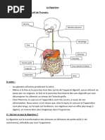 Anatomie Topographique de La Cavité Abdominale Et Péritonéale | PDF ...