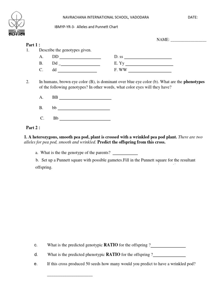 Alleles and Punnett Chart Practice | PDF | Foreign Language Studies ...